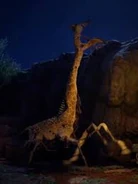 Giraffe | ZOOCHOSIS Wiki | Fandom