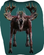 Moose | ZOOCHOSIS Wiki | Fandom