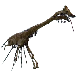 Giraffe | ZOOCHOSIS Wiki | Fandom