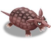 Armadillo | ZooCraft Wiki | Fandom