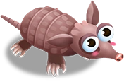 Armadillo | ZooCraft Wiki | Fandom