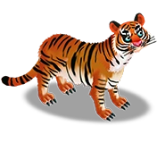 Tiger | ZooCraft Wiki | Fandom