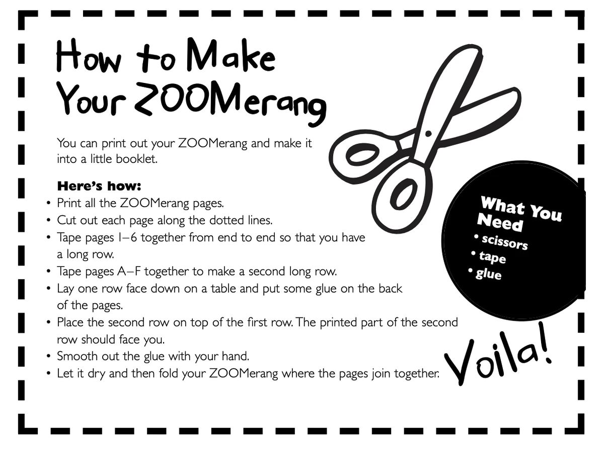 ZOOMerang 101 | ZOOMerpedia | Fandom