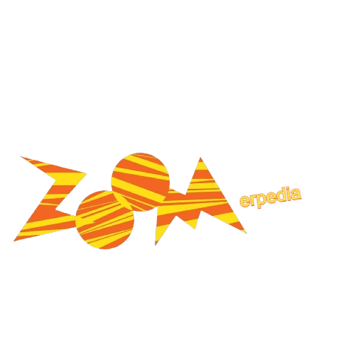Season 3 (2001) | ZOOMerpedia | Fandom