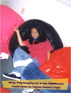 Shing Ying Shieh | Zoomers Wiki | Fandom