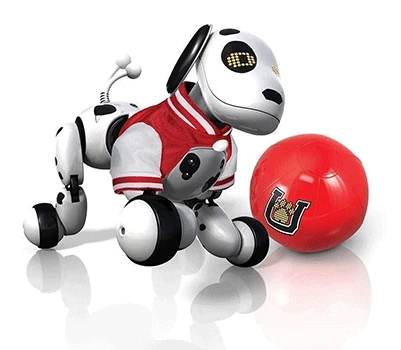 Zoomer sweater | Zoomerdog Wiki | Fandom