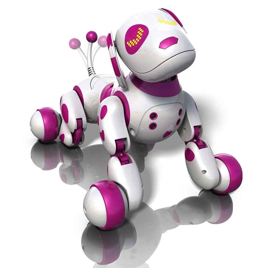 Zoomie | Zoomerdog Wiki | Fandom