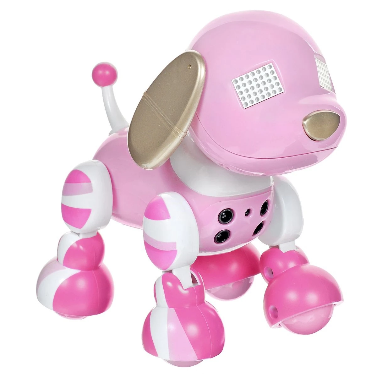 Candy | Zoomerdog Wiki | Fandom