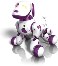 Zoomie | Zoomerdog Wiki | Fandom
