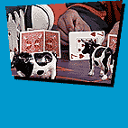 Zoom Episode 0023 | Zoom Wiki | Fandom