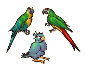 Military Macaw | Zoomumba Wiki | Fandom