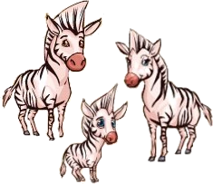 Zebra | Zoomumba Wiki | Fandom
