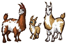 Llama | Zoomumba Wiki | Fandom