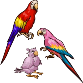 Scarlet Macaw | Zoomumba Wiki | Fandom