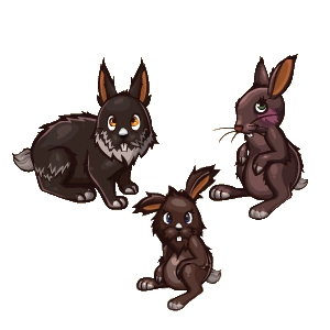 Angora Rabbit | Zoomumba Wiki | Fandom