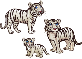 White Tiger | Zoomumba Wiki | Fandom