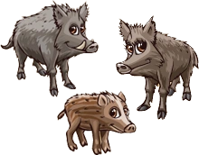 Wild Boar | Zoomumba Wiki | Fandom