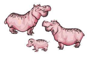 Pink Hippo | Zoomumba Wiki | Fandom
