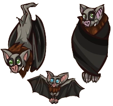 Bat | Zoomumba Wiki | Fandom