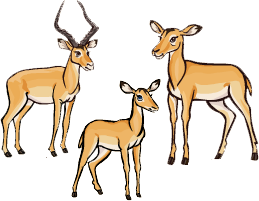 Impala | Zoomumba Wiki | Fandom