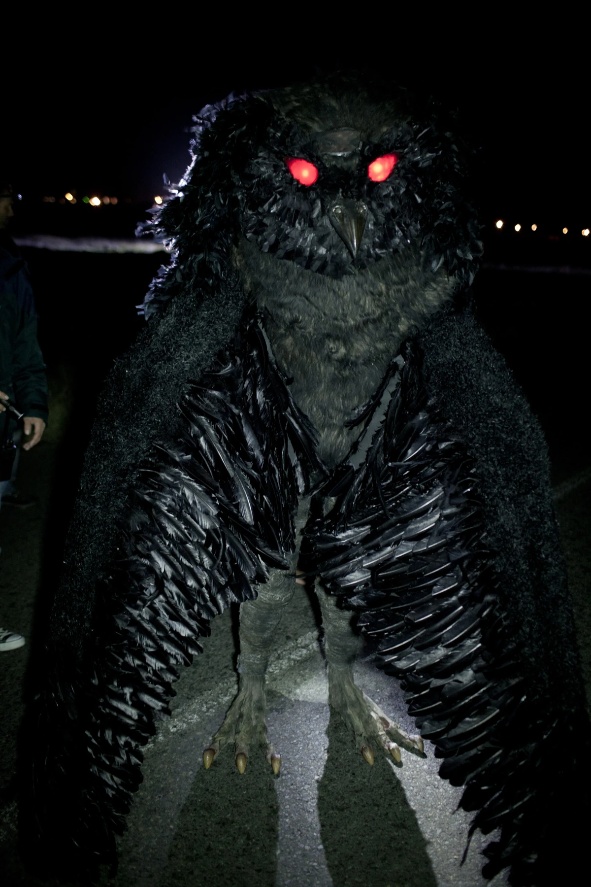Mothman | Zooniverse Wiki | Fandom