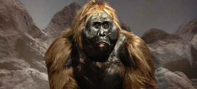 Yeren | Zooniverse Wiki | Fandom