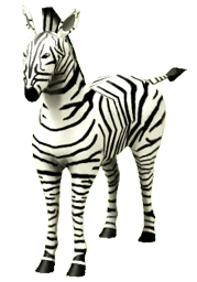 Zebra | Zoo Park Tycoon Wiki | Fandom