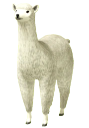 Alpaca | Zoo Park Tycoon Wiki | Fandom