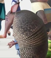 Zootopia Species Gallery | Zootopia City Wiki | Fandom