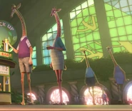 Zootopia Species Gallery | Zootopia City Wiki | Fandom