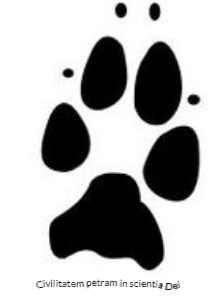 The Blood Lilies | Zootopia Fanon Wikia | Fandom