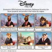 Panda news anchor | Zootopia Wiki | Fandom