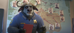 Chief Bogo | Zootopia Wiki | Fandom