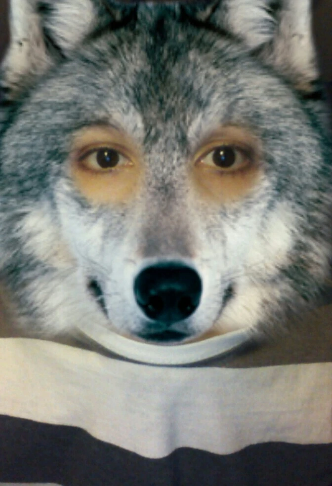 User blog:Kbwwe21/My Zootopia Persona | Zootopia Wiki | Fandom