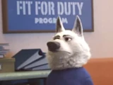 Category:Wolves | Zootopia Wiki | Fandom