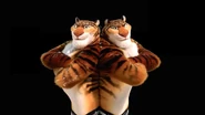 Tiger dancers/Gallery | Zootopia Wiki | Fandom