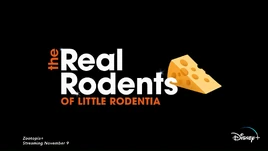 The Real Rodents of Little Rodentia | Zootopia Wiki | Fandom