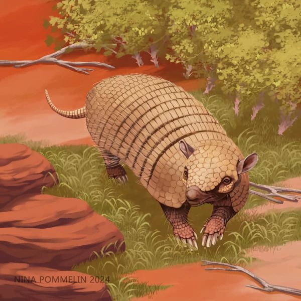 Six-Banded Armadillo | Zoo Tycoon Wiki | Fandom