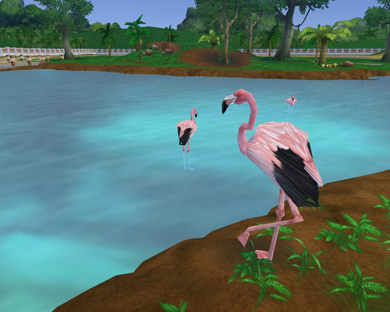 Biome | Zoo Tycoon Wiki | Fandom