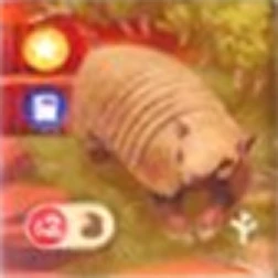 Six-Banded Armadillo | Zoo Tycoon Wiki | Fandom