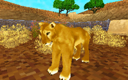 Lion | Zoo Tycoon Wiki | Fandom