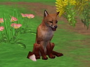 Warrah | Zoo Tycoon Wiki | Fandom