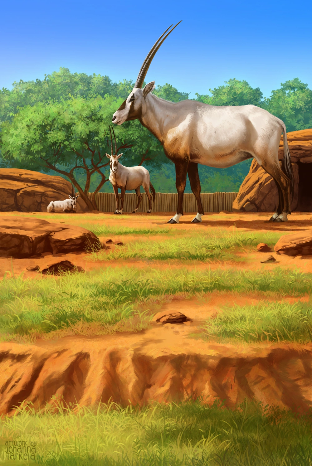 Arabian Oryx Habitat