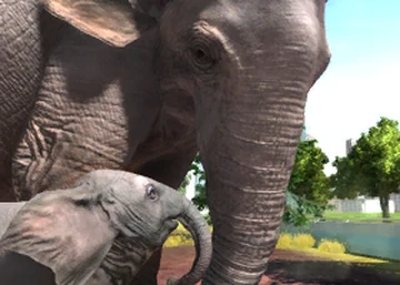 Anaconda Eats Elephant