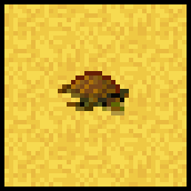 Green Sea Turtle | Zoo Tycoon Wiki | Fandom