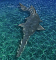 Common Sawfish | Zoo Tycoon Wiki | Fandom