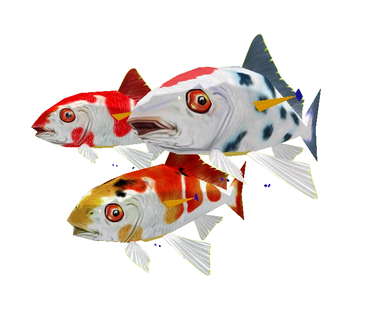 Koi | Zoo Tycoon Wiki | Fandom