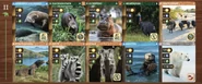 Zoo Tycoon: The Board Game - New Shores | Zoo Tycoon Wiki | Fandom