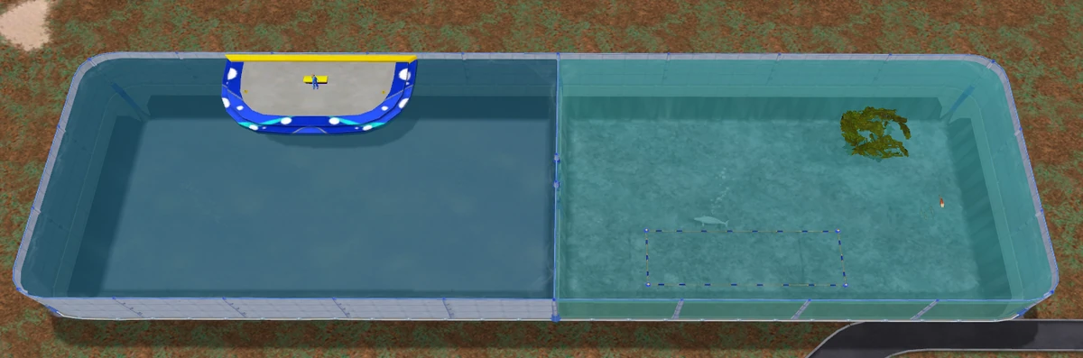 Marine Animal Shows | Zoo Tycoon Wiki | Fandom