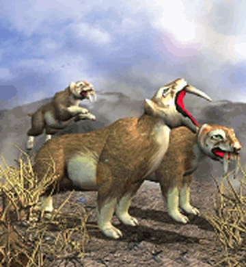 California Sabertooth Whale